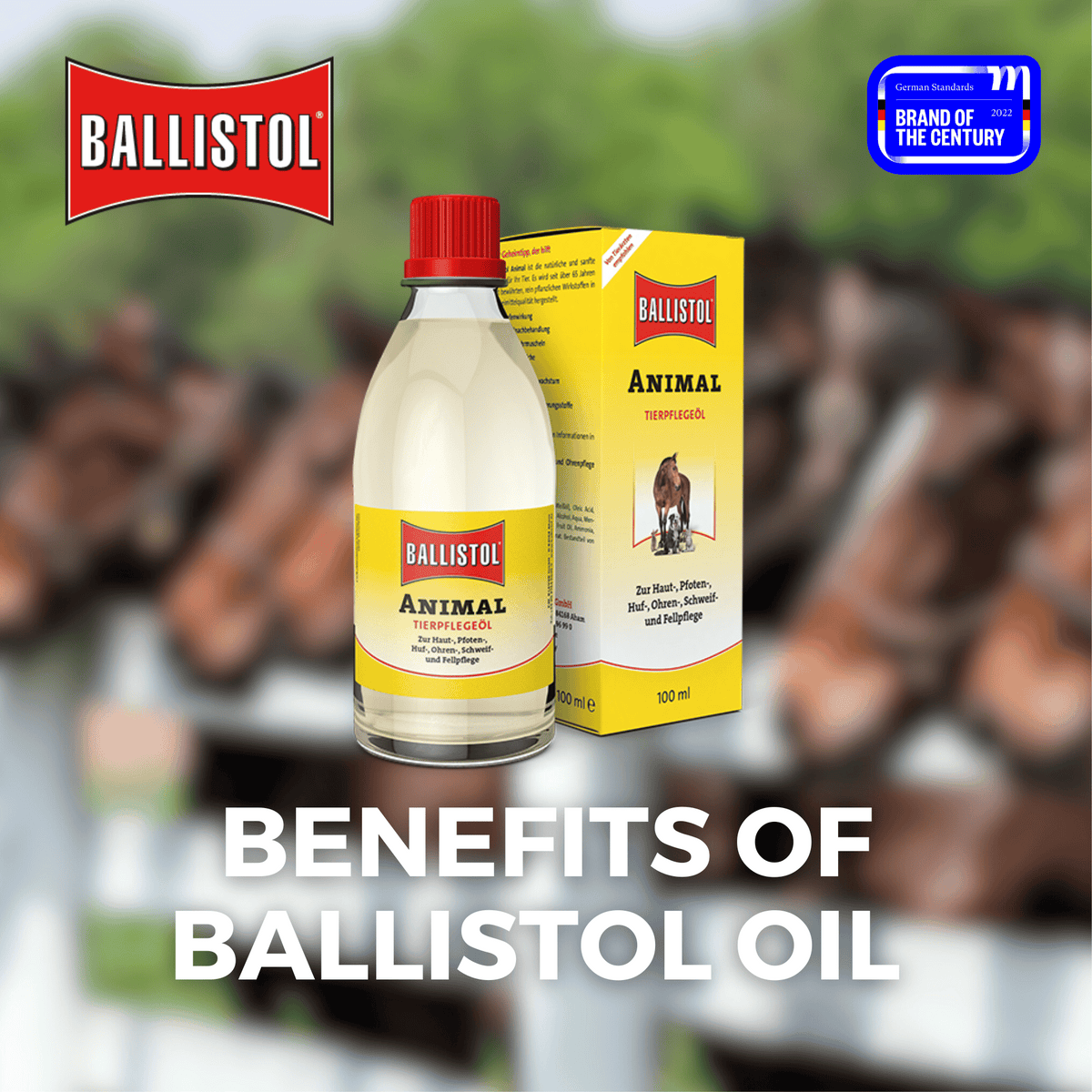 Ballistol UK > Article: Discover the Benefits of Ballistol Animal Care Oil